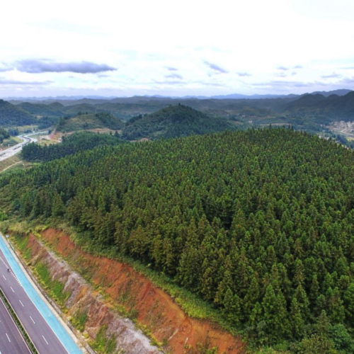 About Alcomex | For all technical- and door springs » Alcomex